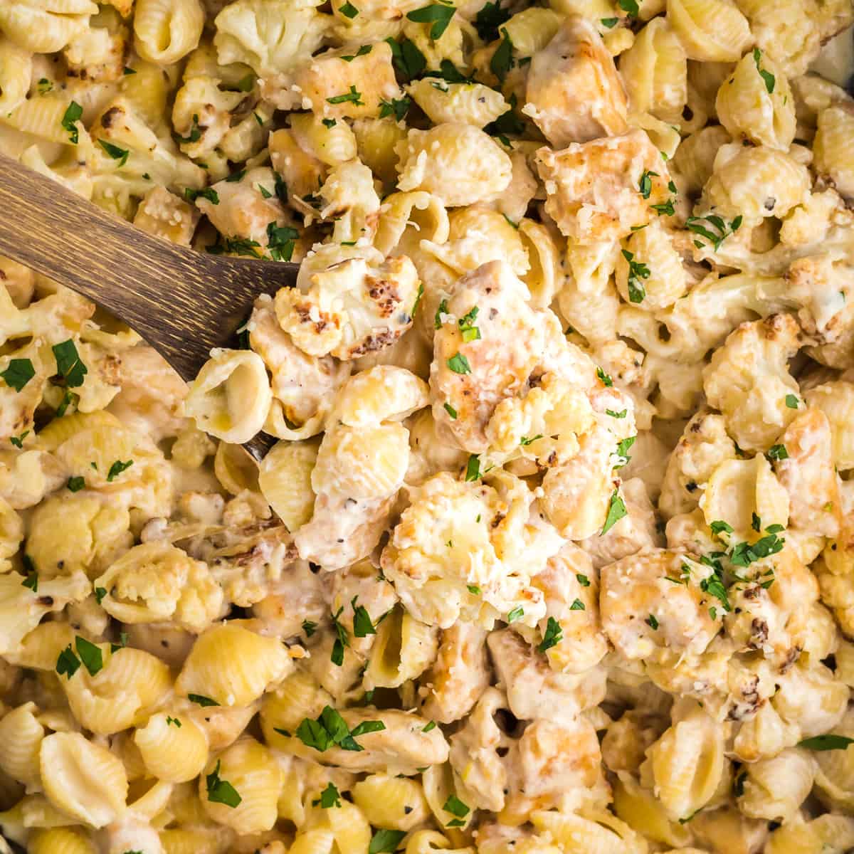 Creamy Garlic Chicken Pasta - Cooking and Cussing